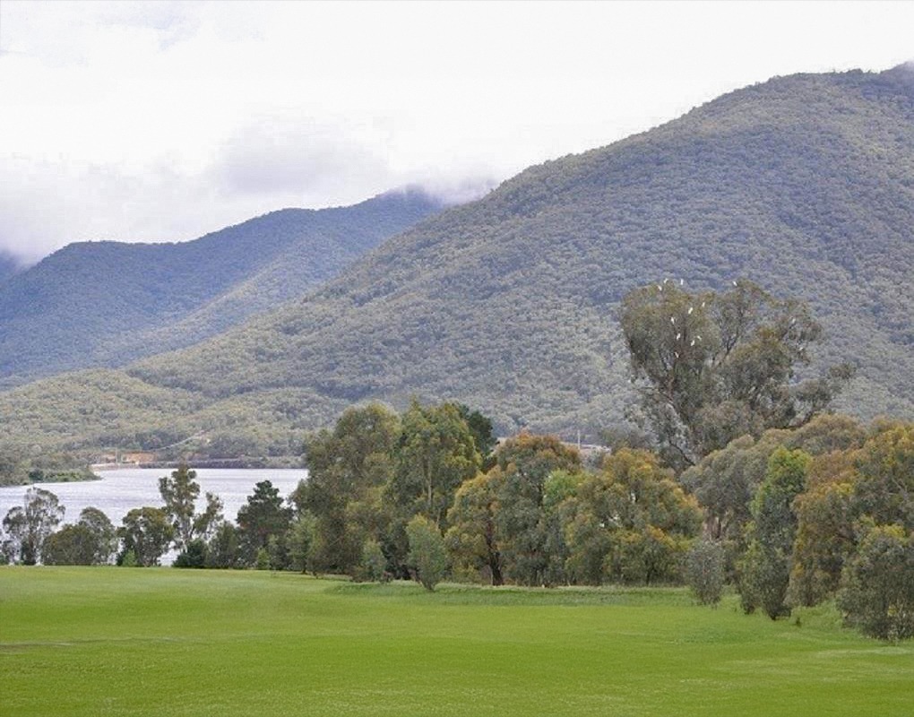 Overflow - Otis Foundation